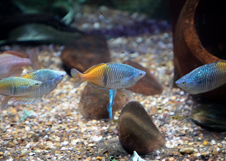 Hunstanton SEA LIFE - Photo Gallery - 2022