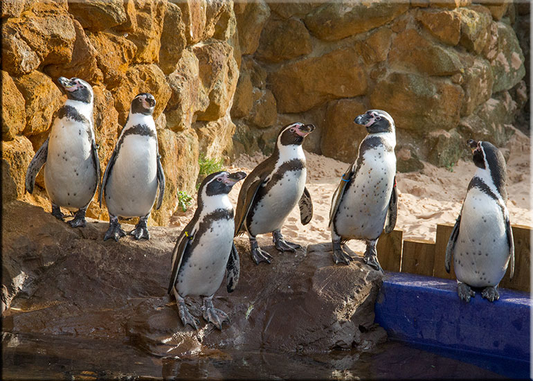 Hunstanton SEA LIFE Sanctuary - Photo Gallery - 23rd September 2014