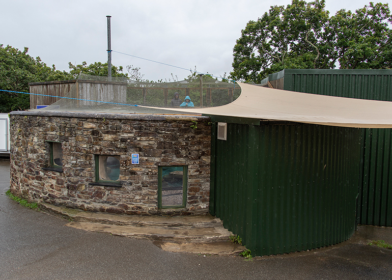 CORNISH SEAL SANCTUARY - PHOTO GALLERY - September 2024