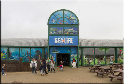 Hunstanton SEA LIFE Sanctuary - Press Release - Going Home For Christmas!