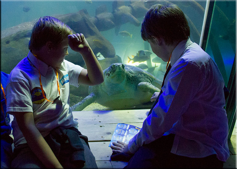 Hunstanton SEA LIFE Sanctuary - Photo Gallery - 15th October 2014