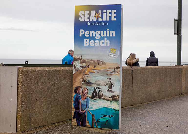 Hunstanton SEA LIFE - Penguin Beach
