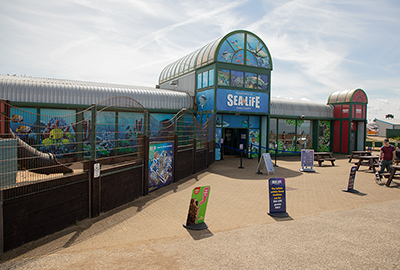 Hunstanton SEA LIFE - News Update - Summer 2020