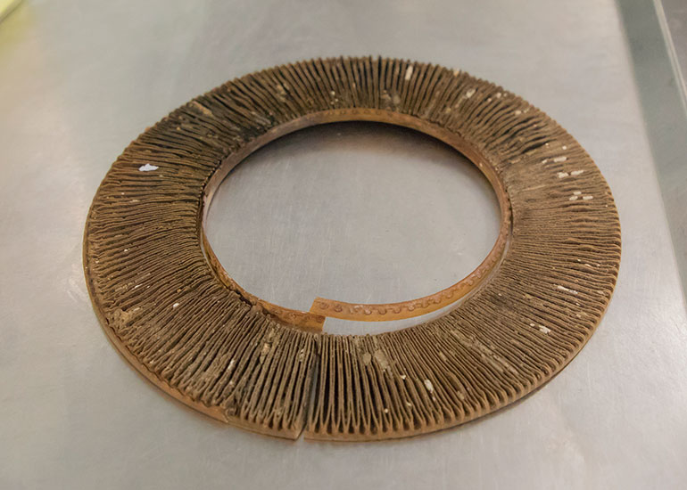 Hunstanton SEA LIFE - Photo Gallery - Relashio - Rescued grey seal - 2018