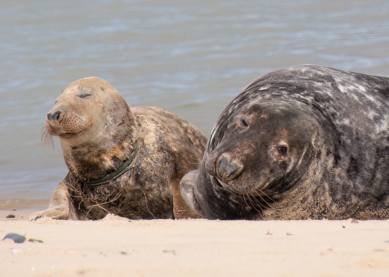 Hunstanton SEA LIFE - Photo Gallery - 2022