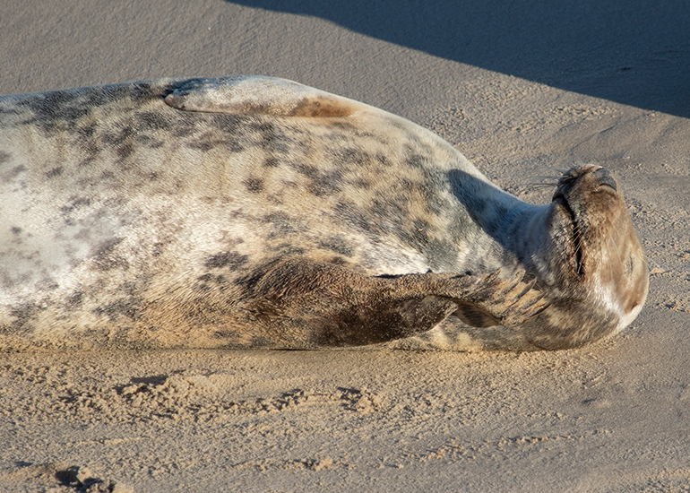 Hunstanton SEA LIFE - Photo Gallery - 2022