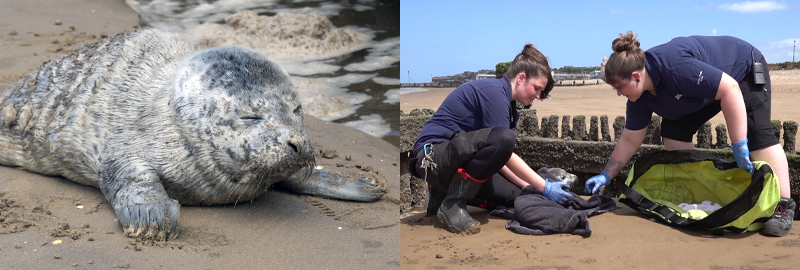 Hunstanton SEA LIFE - News Update - Winter 2022-23