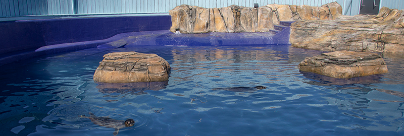 SEA LIFE Hunstanton - Press Release