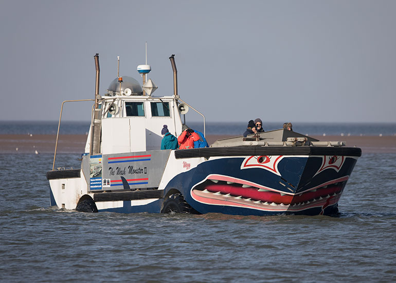 Hunstanton SEA LIFE Sanctuary - Photo Gallery - Seals in the Wild ...